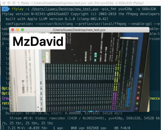 FFmpeg Filter简单使用-音视频开发中文网